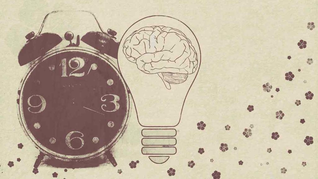 Time cells: the brain clock based on experiences - PsicoPico